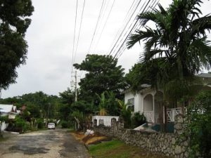 Jamaica Star Tell Me Pastor | Wah Deh Gwaan